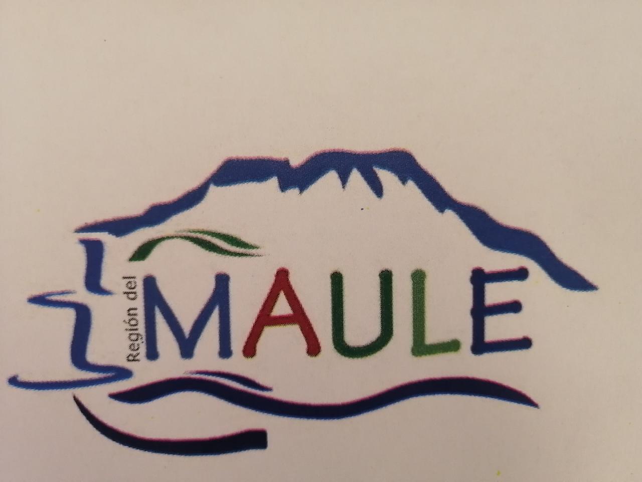 La Región del Maule Celebra su Día | Museo O'Higginiano y de Bellas ...